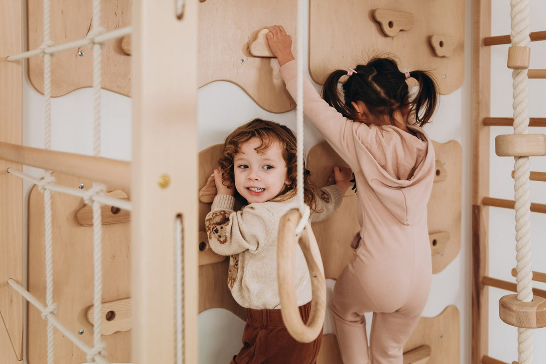 Designing the Playroom: How to Integrate a Climbing Playground for Kid ...