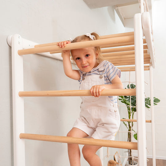 Indoor Monkey Bars Playground: Unlocking New Possibilities - WoodandHearts